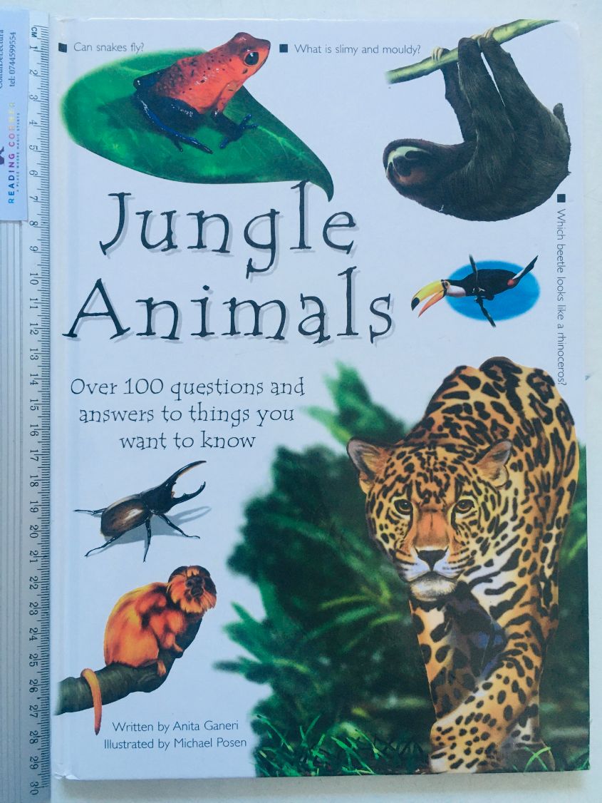 Jungle Animals • ReadingCorner.ro