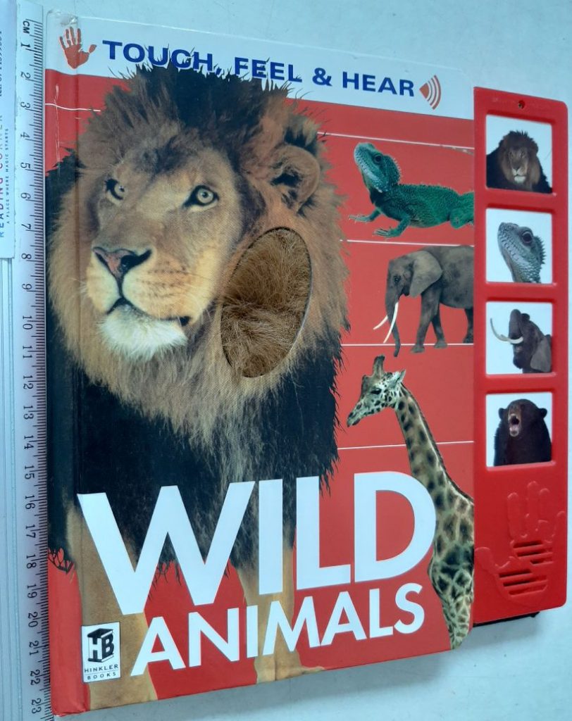 Wild Animals • ReadingCorner.ro
