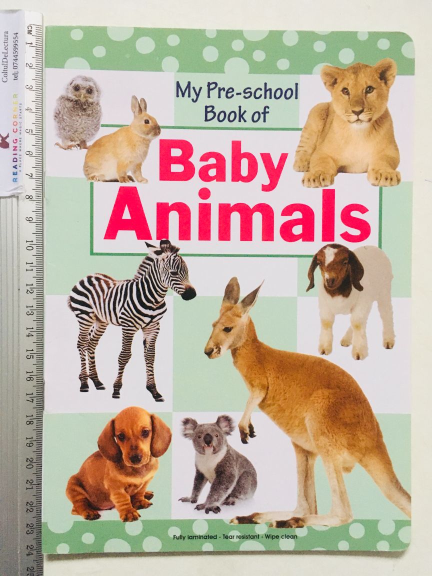 Baby Animals • ReadingCorner.ro