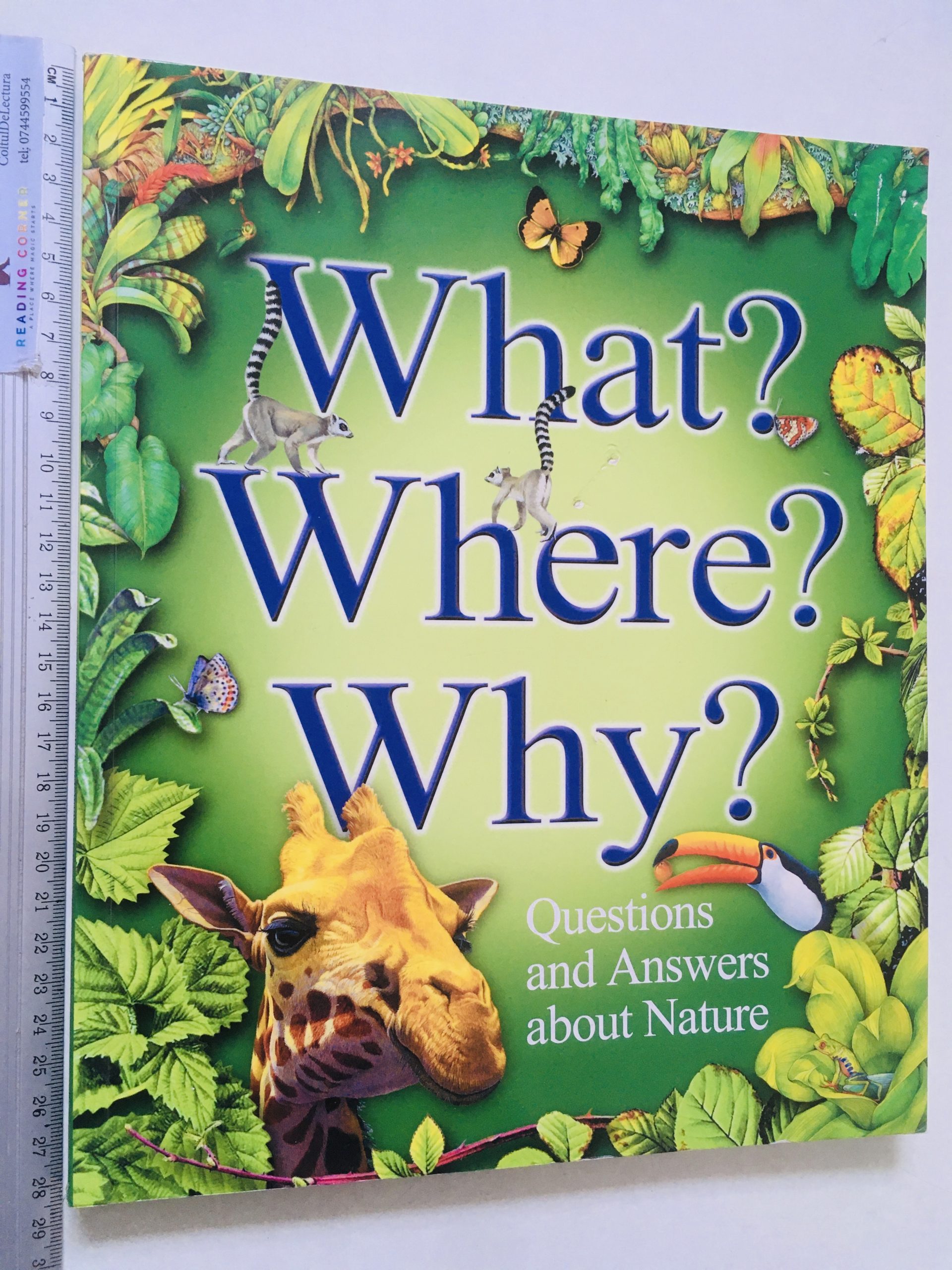 What? Where? Why? • ReadingCorner.ro