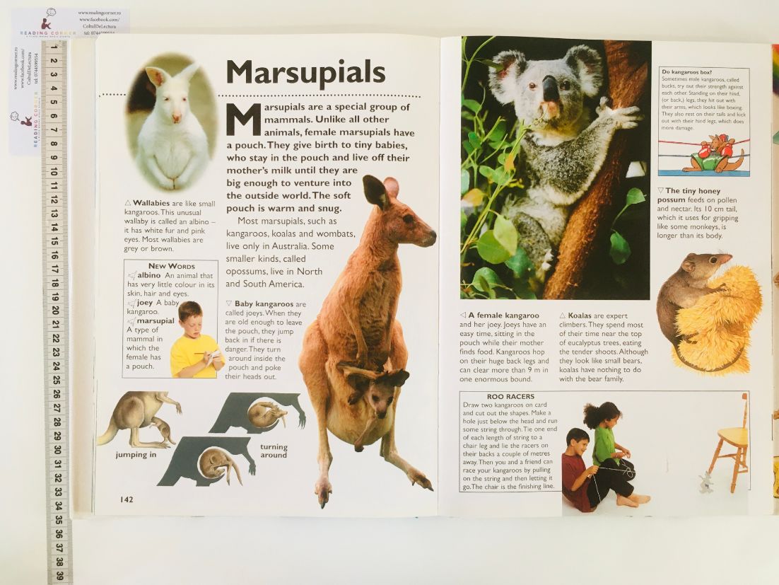Children's First Encyclopedia • ReadingCorner.ro