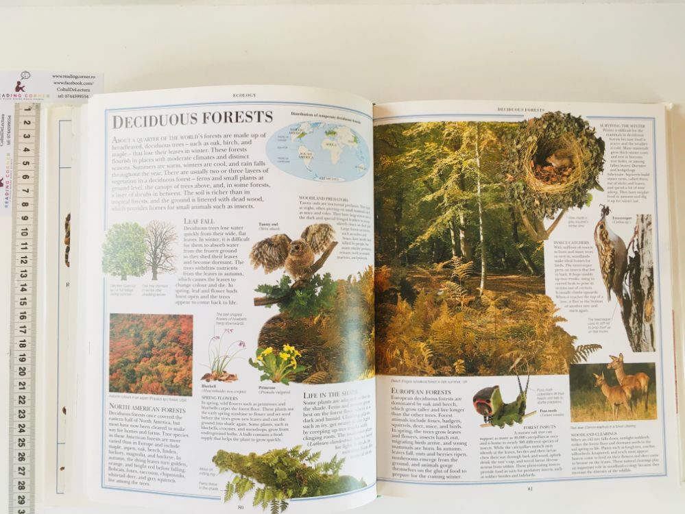 DK Nature Encyclopedia • ReadingCorner.ro