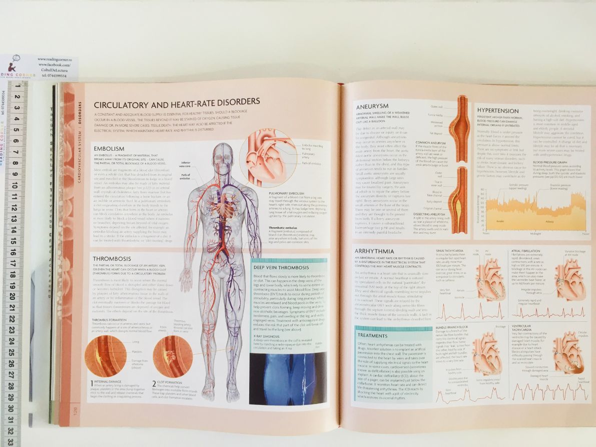 DK The Human Body • ReadingCorner.ro