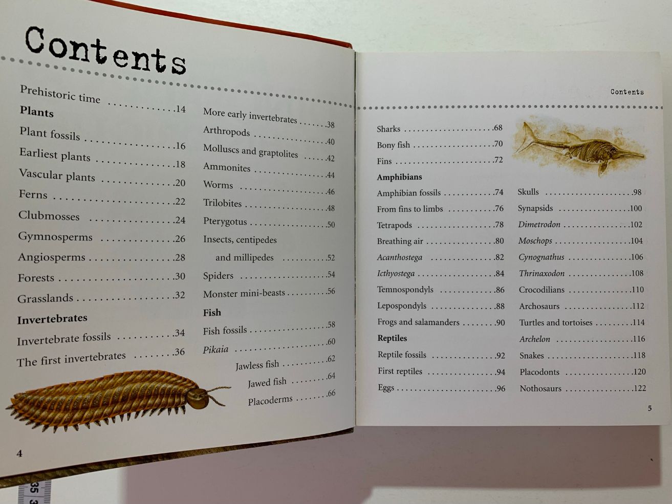 Dinosaurs & Prehistoric Life • ReadingCorner.ro