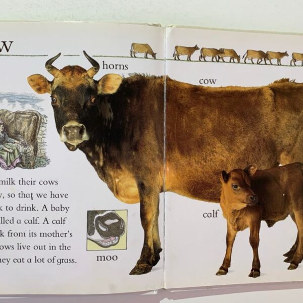 Farm Animals • ReadingCorner.ro