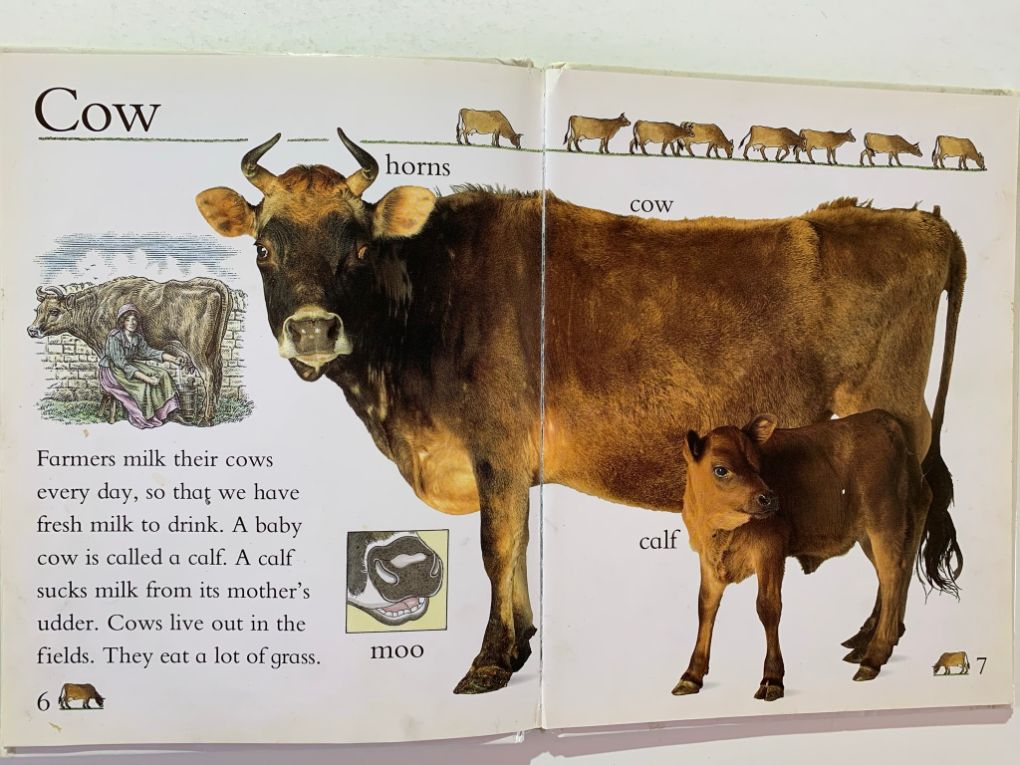 Farm Animals • ReadingCorner.ro