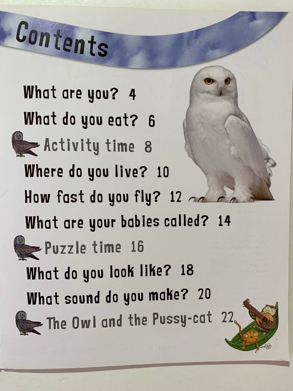I am an Owl • ReadingCorner.ro