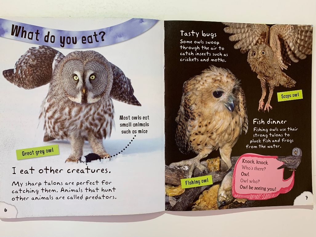 I am an Owl • ReadingCorner.ro