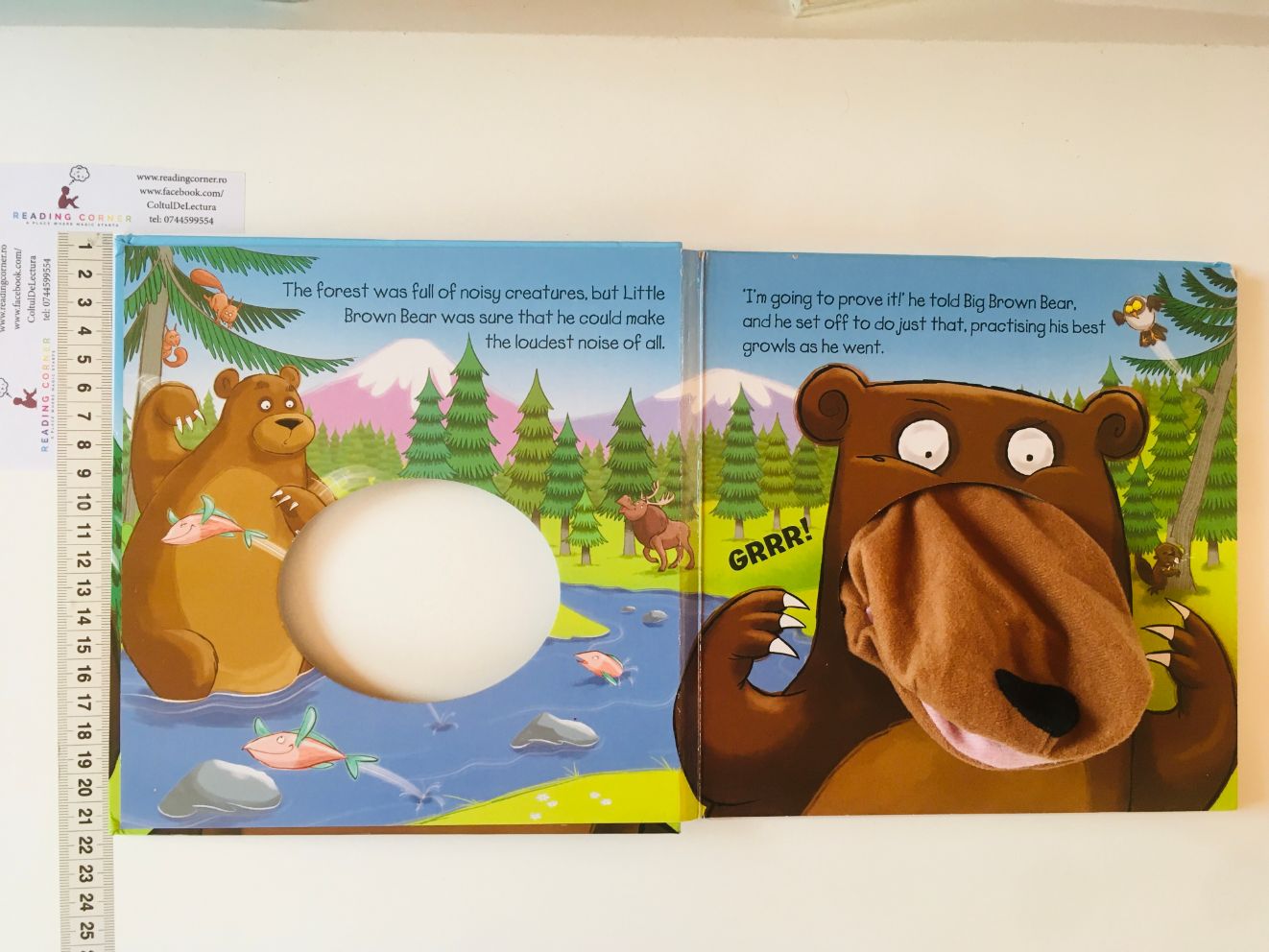Little Brown bear • ReadingCorner.ro