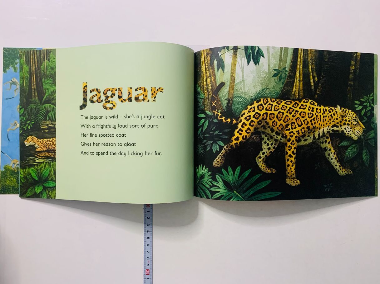 Rainforest Animals • ReadingCorner.ro