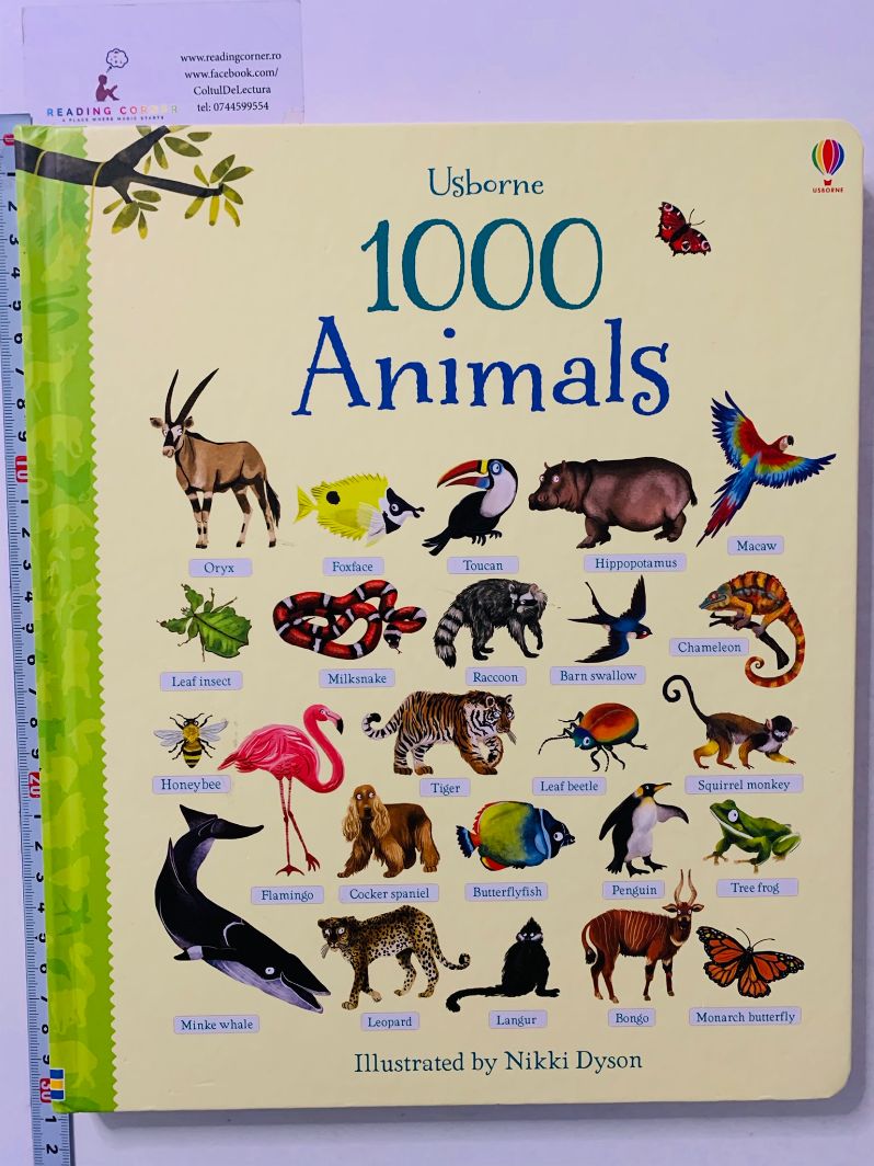 Usborne 1000 Animals • ReadingCorner.ro
