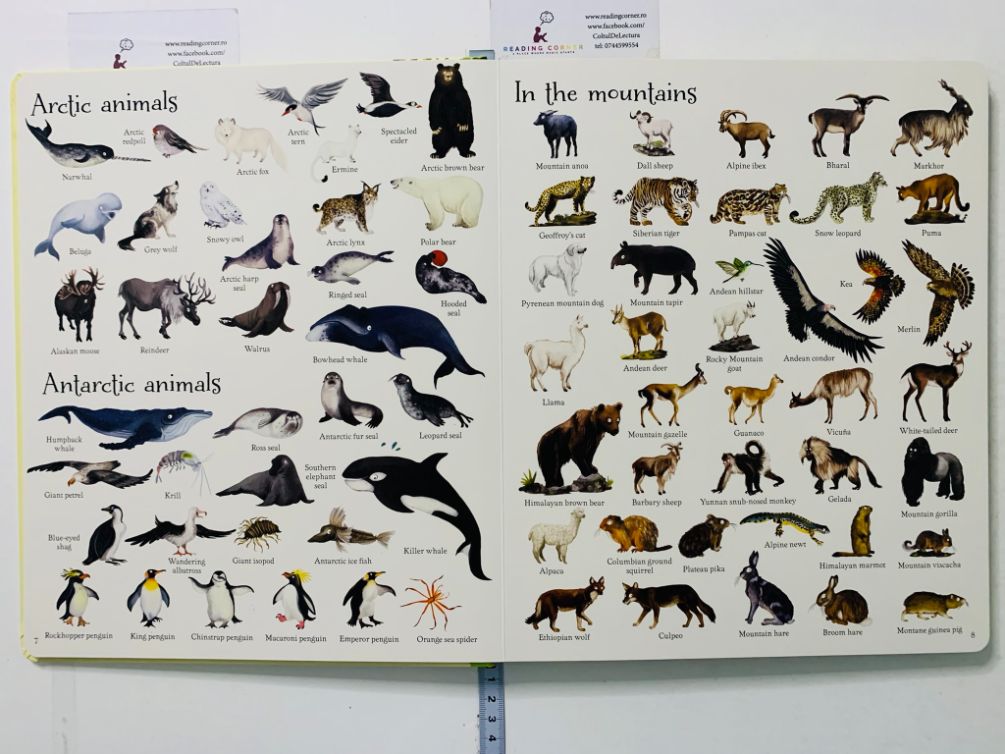 Usborne 1000 Animals • ReadingCorner.ro