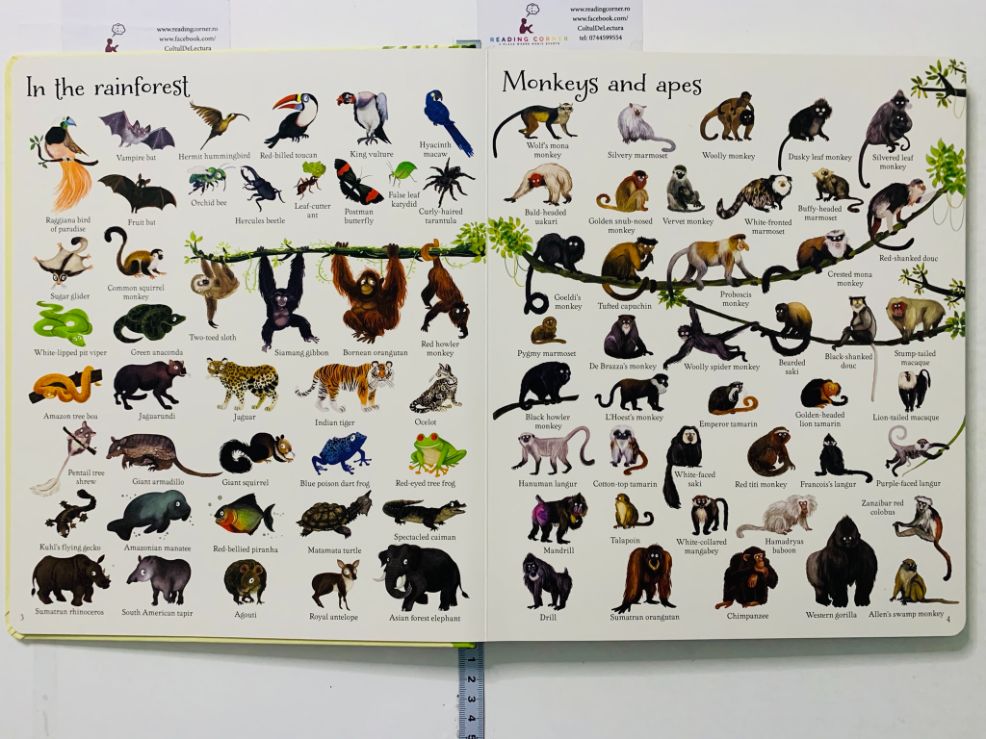 Usborne 1000 Animals • ReadingCorner.ro