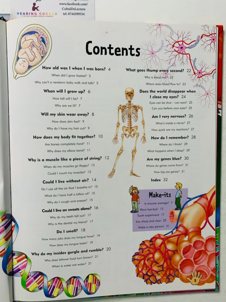 How Does My Body fit Together? • ReadingCorner.ro