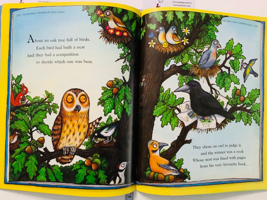 Julia Donaldson Charlie Cook's Favourite Book Anniversary Edition ...