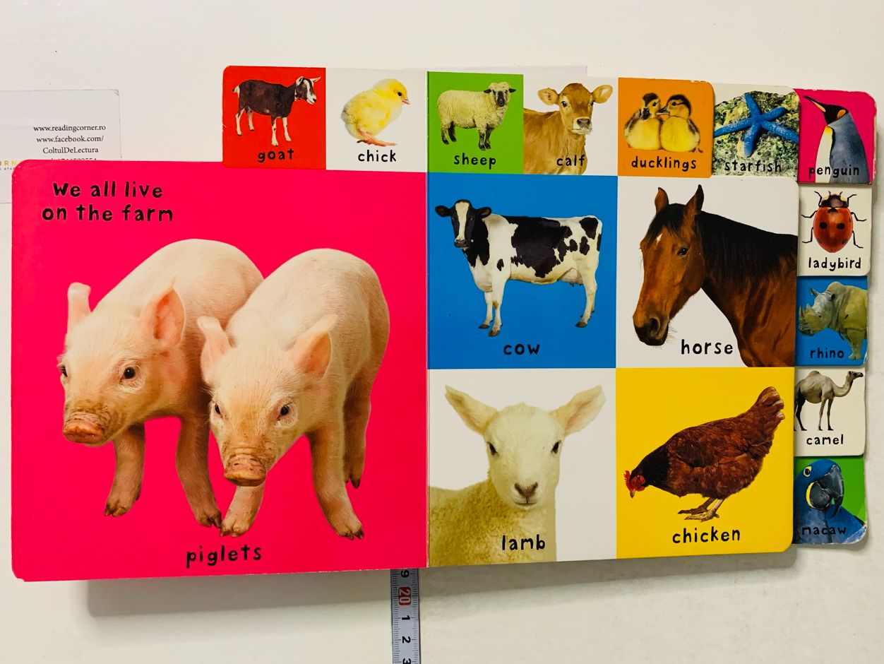 Lift the Tab Animals • ReadingCorner.ro