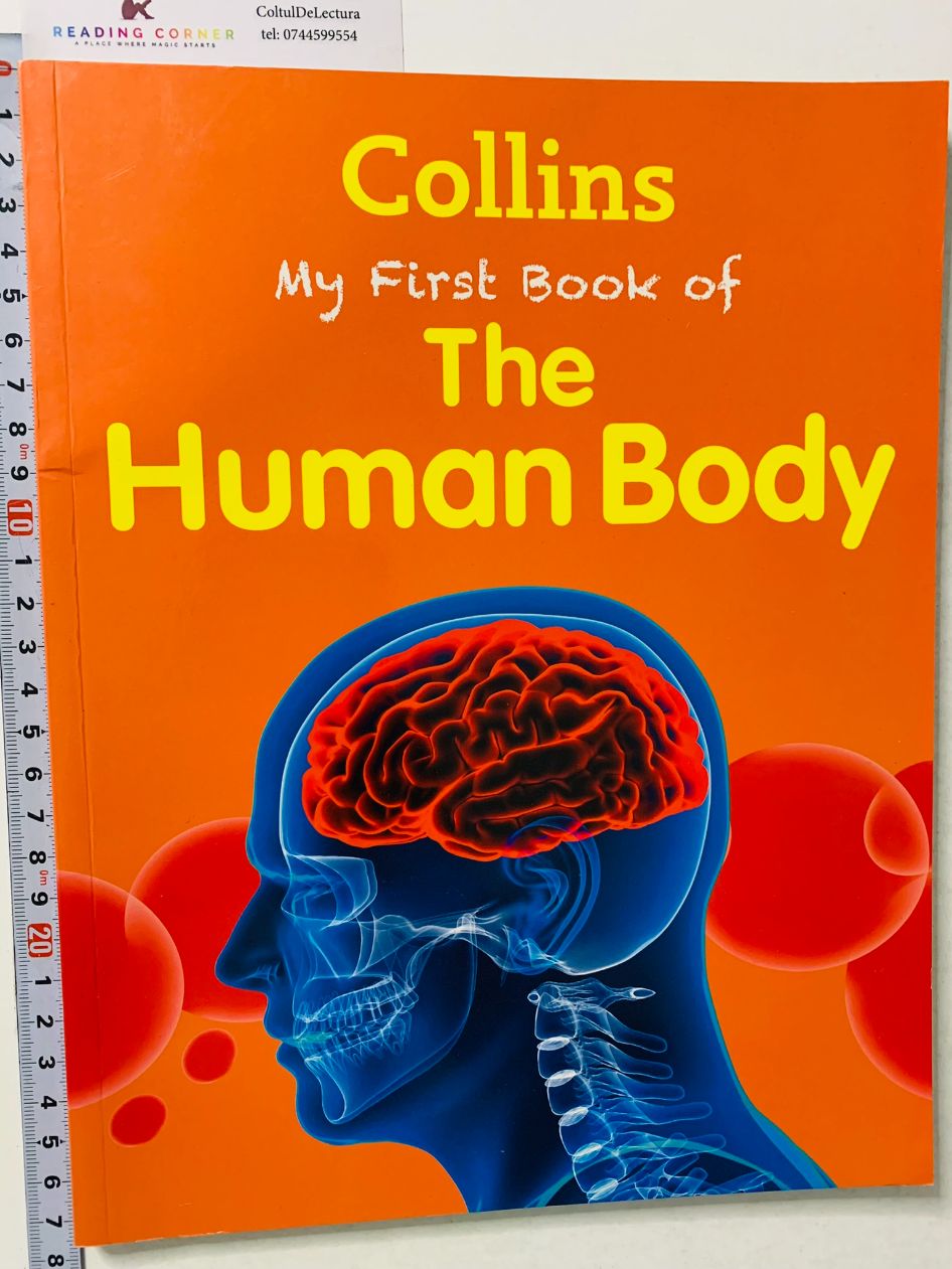 My First book of The Human Body • ReadingCorner.ro