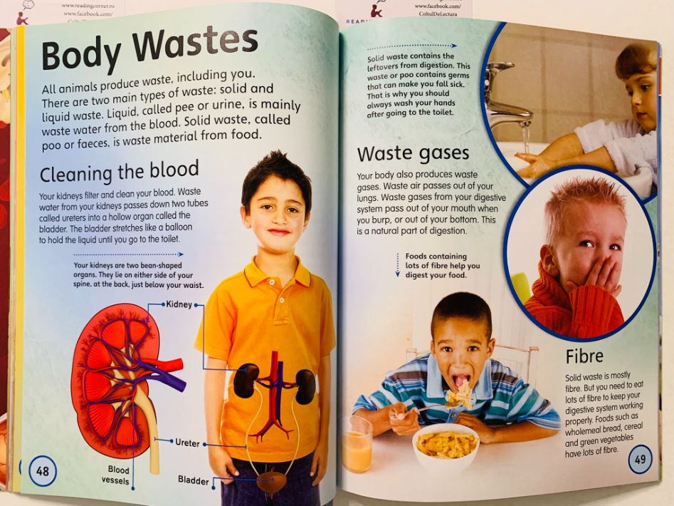 My First book of The Human Body • ReadingCorner.ro