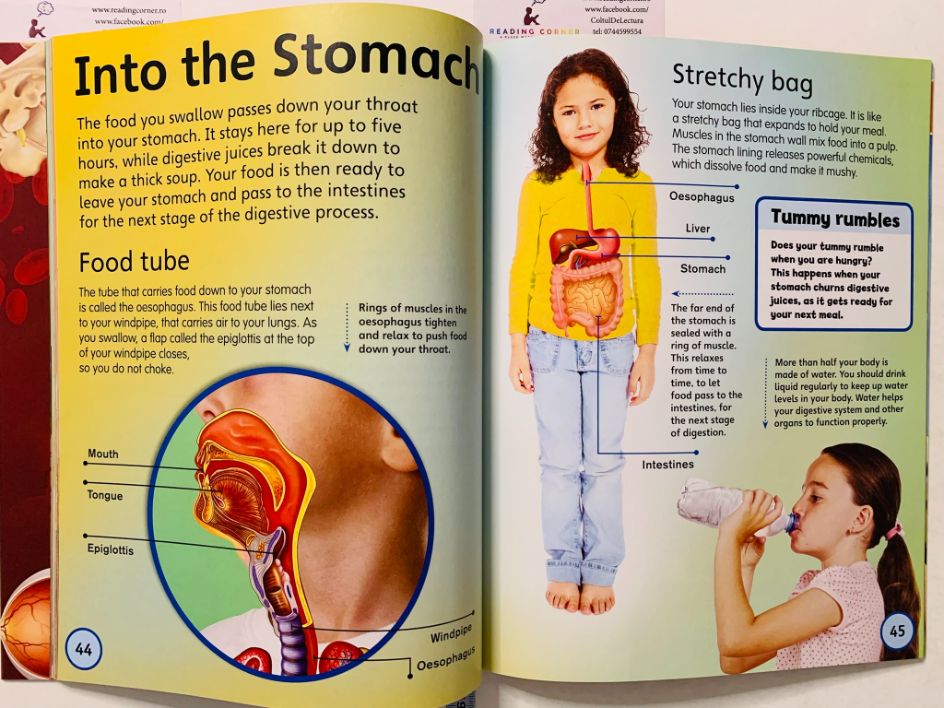 My First book of The Human Body • ReadingCorner.ro