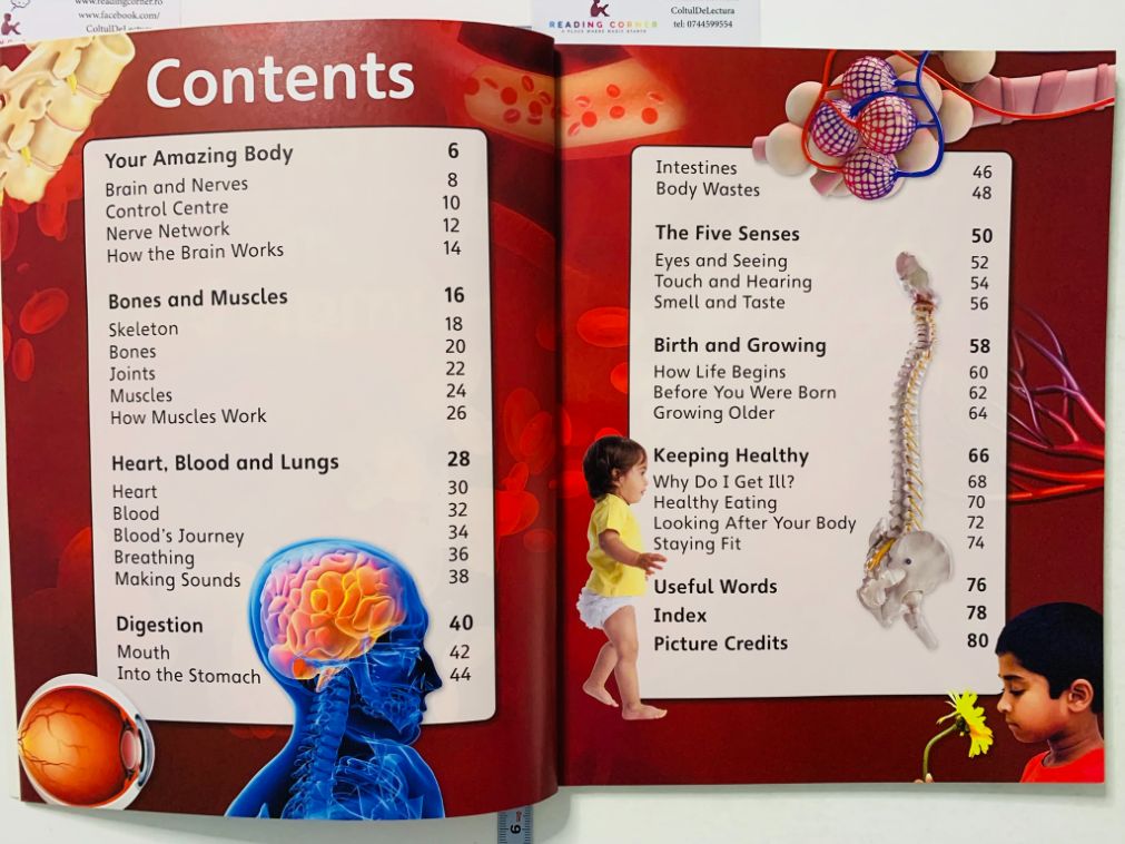 My First book of The Human Body • ReadingCorner.ro