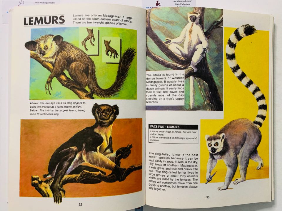 The Amazing World of Living Things • ReadingCorner.ro