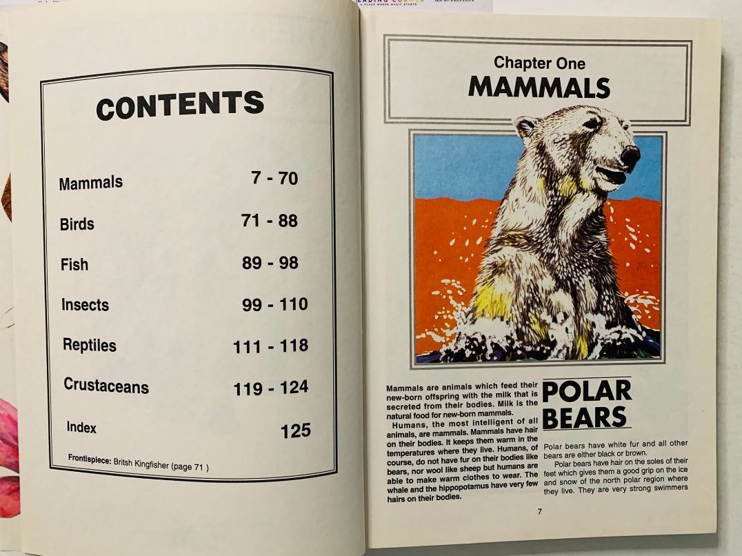 The Amazing World of Living Things • ReadingCorner.ro