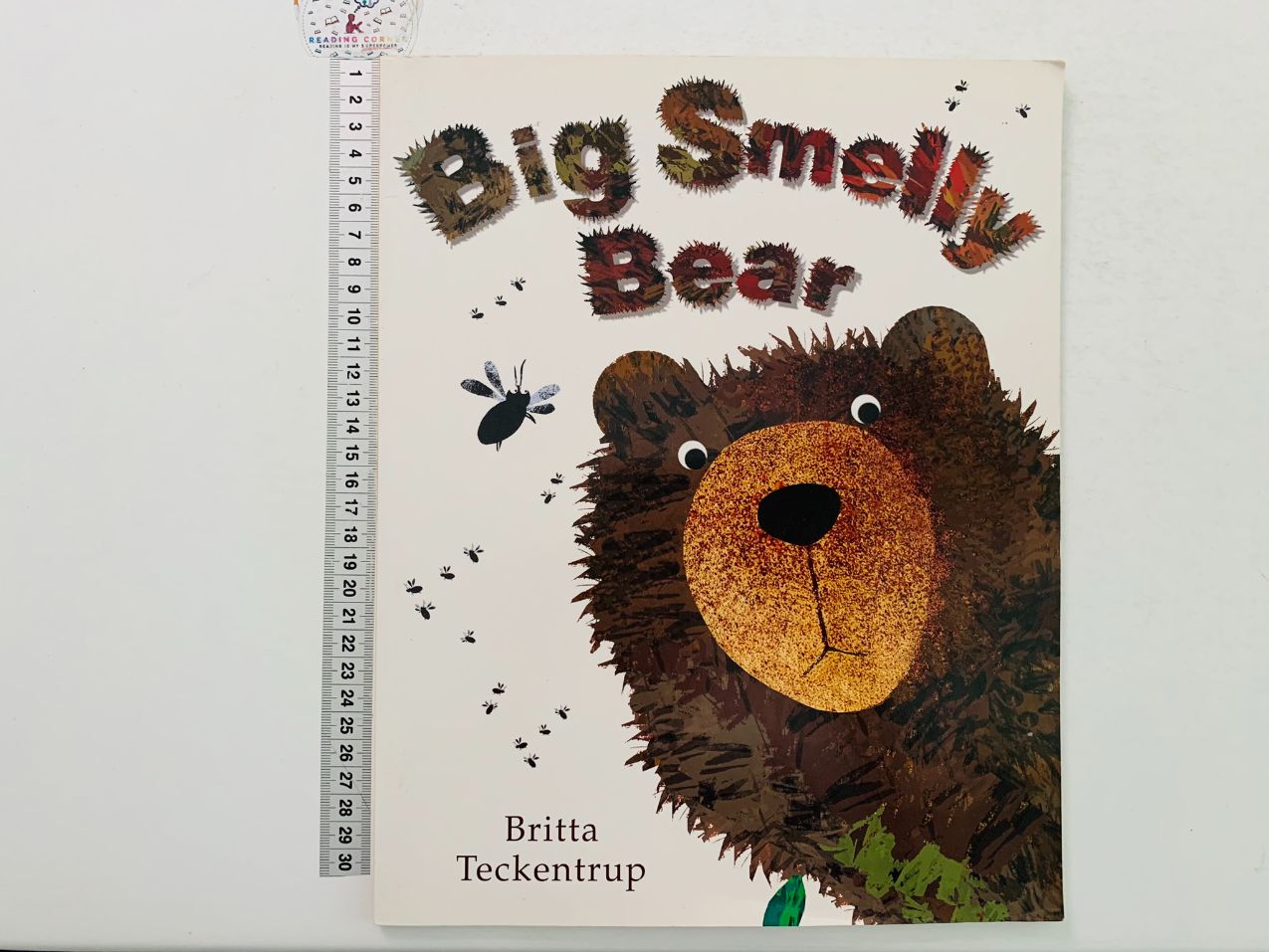 Big Smelly Bear • ReadingCorner.ro