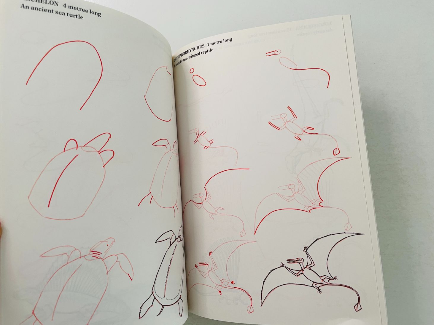 Draw 50 Dinosaurs • ReadingCorner.ro