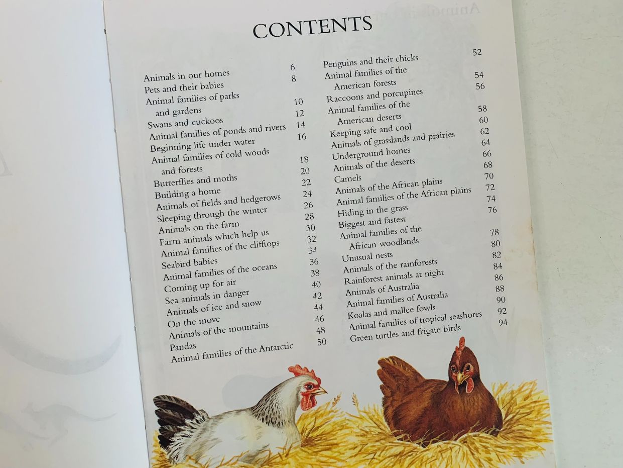 My World of Animals • ReadingCorner.ro