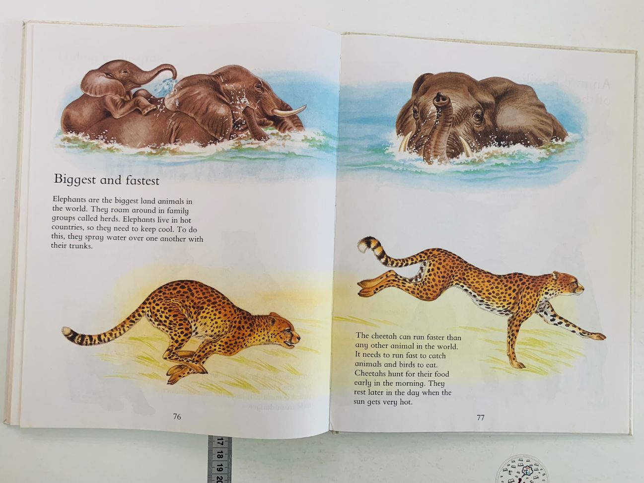 My World of Animals • ReadingCorner.ro