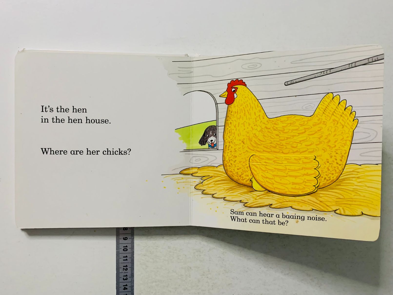 Rod Campbell Noisy Farm • ReadingCorner.ro