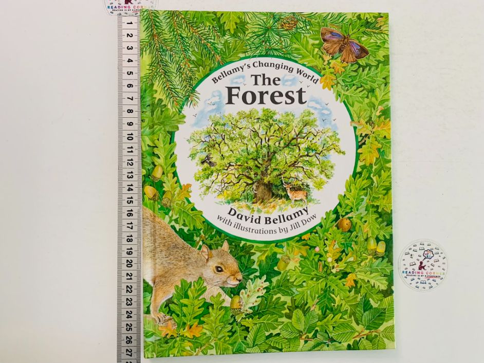 The Forest • ReadingCorner.ro