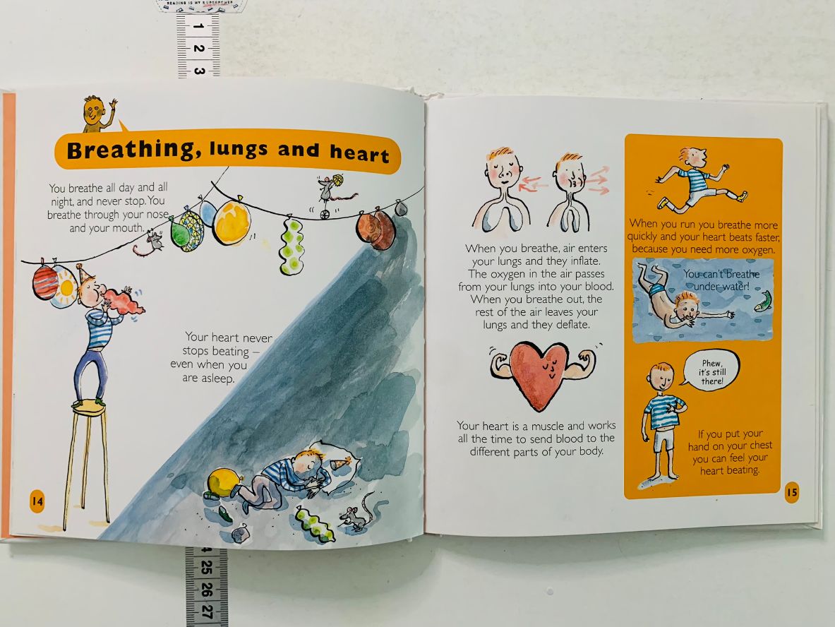 The Human Body • ReadingCorner.ro