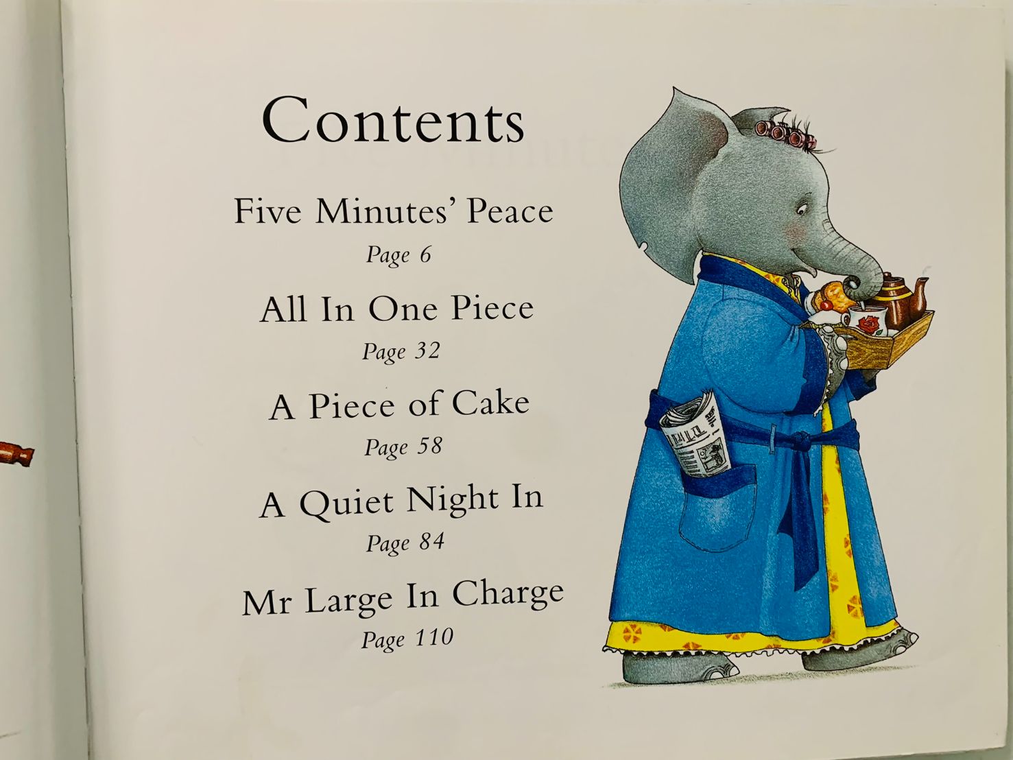 The Large Family Five Stories in one • ReadingCorner.ro